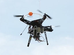 SCP-160 | Wiki Fundação SCP | Fandom