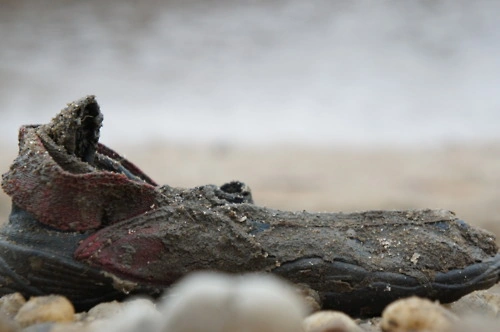 SCP-1667 | Wiki Fundação SCP | Fandom