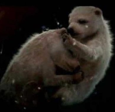 SCP-2035 | Wiki Fundação SCP | Fandom