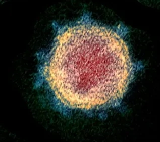 SCP-2038 | Wiki Fundação SCP | Fandom