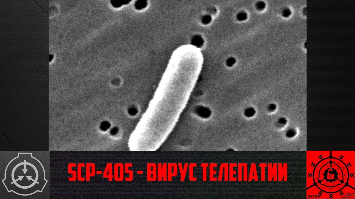 SCP-405 | Wiki Fundação SCP | Fandom