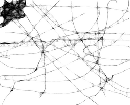 SCP-183 | Wiki Fundação SCP | Fandom