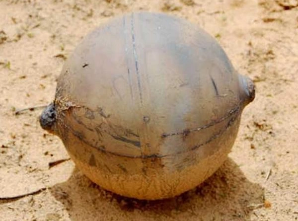 SCP-1947 | Wiki Fundação SCP | Fandom