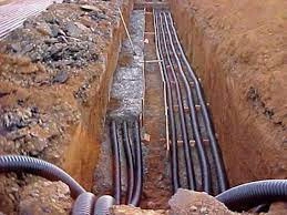 SCP-1019 | Wiki Fundação SCP | Fandom