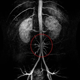 SCP-940 | Wiki Fundação SCP | Fandom