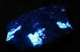 SCP-059 | Wiki Fundação SCP | Fandom