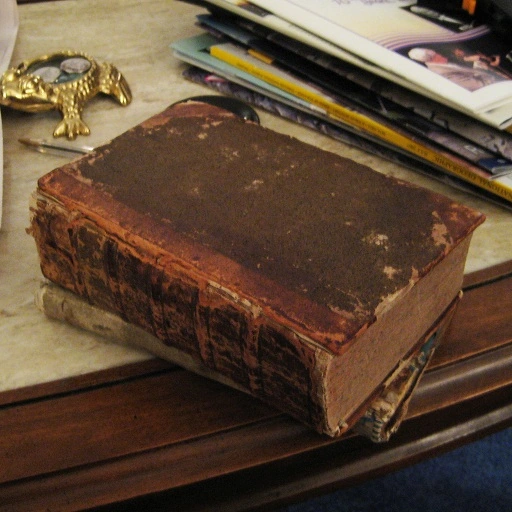 SCP-1195 | Wiki Fundação SCP | Fandom