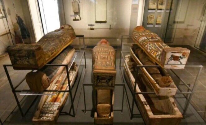 SCP-308 | Wiki Fundação SCP | Fandom