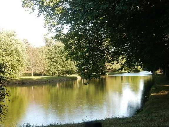 SCP-765 | Wiki Fundação SCP | Fandom