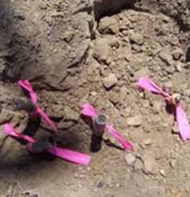 SCP-1563 | Wiki Fundação SCP | Fandom