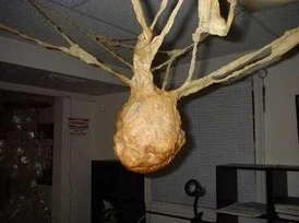 SCP-406-ARC | Wiki Fundação SCP | Fandom