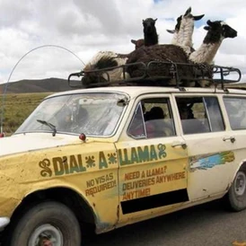 SCP-1296 | Wiki Fundação SCP | Fandom