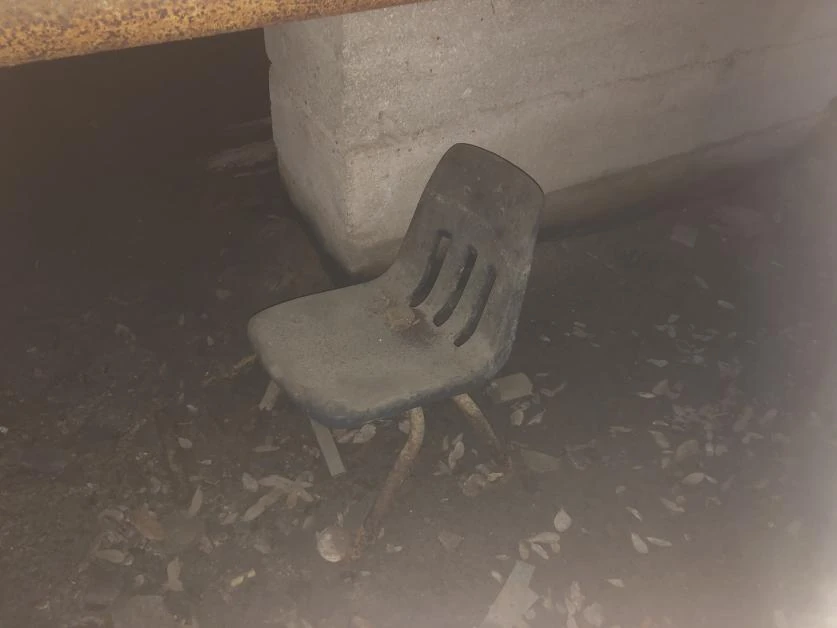 SCP-396 | Wiki Fundação SCP | Fandom