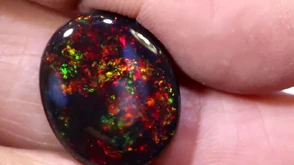 SCP-1453 | Wiki Fundação SCP | Fandom