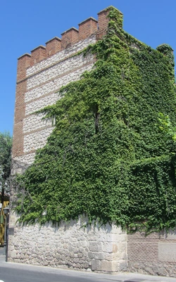 SCP-1798 | Wiki Fundação SCP | Fandom