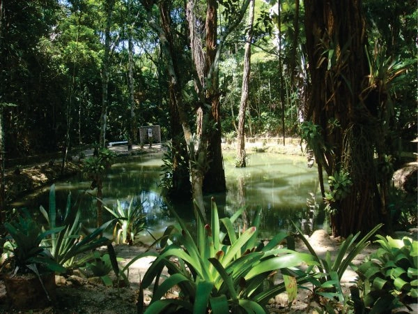 SCP-029-PT | Wiki Fundação SCP | Fandom