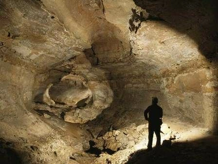 SCP-1351 | Wiki Fundação SCP | Fandom