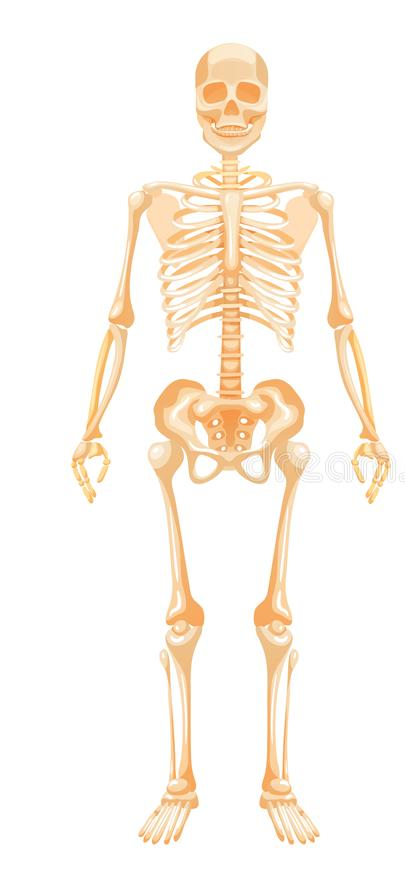 SCP-1519 | Wiki Fundação SCP | Fandom