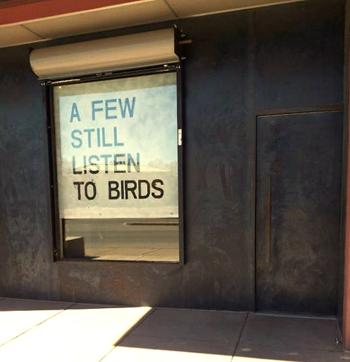 SCP-1559 | Wiki Fundação SCP | Fandom