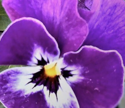 SCP-1513 | Wiki Fundação SCP | Fandom