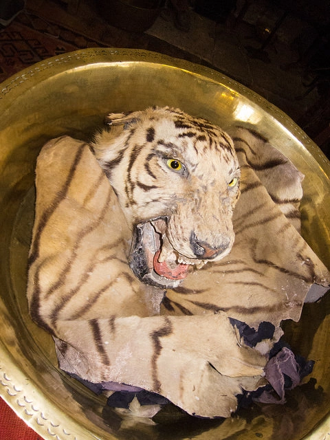 SCP-1931 | Wiki Fundação SCP | Fandom