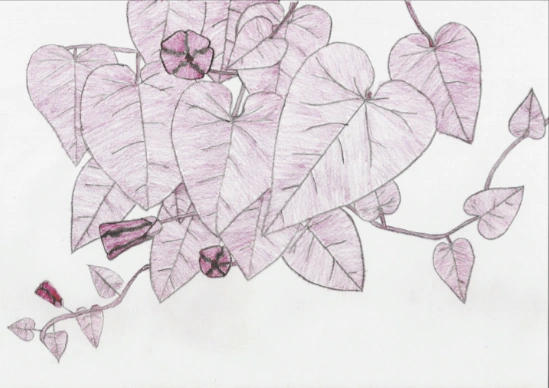 SCP-754 | Wiki Fundação SCP | Fandom