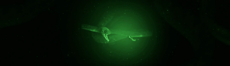 SCP-3000 | Fundação SCP Wiki | Fandom