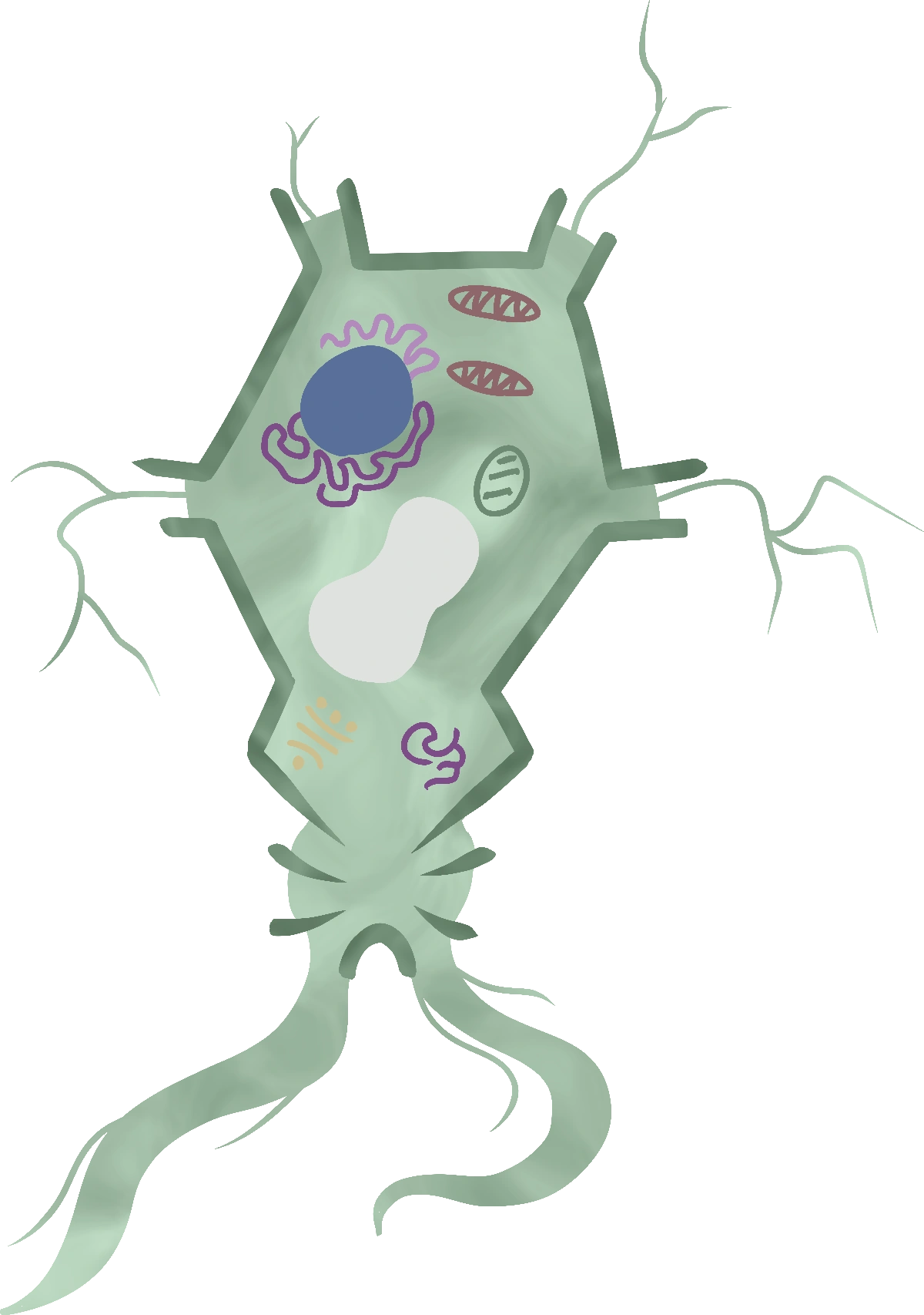 Type A | Fundamental-paper-education-fanon Wiki | Fandom