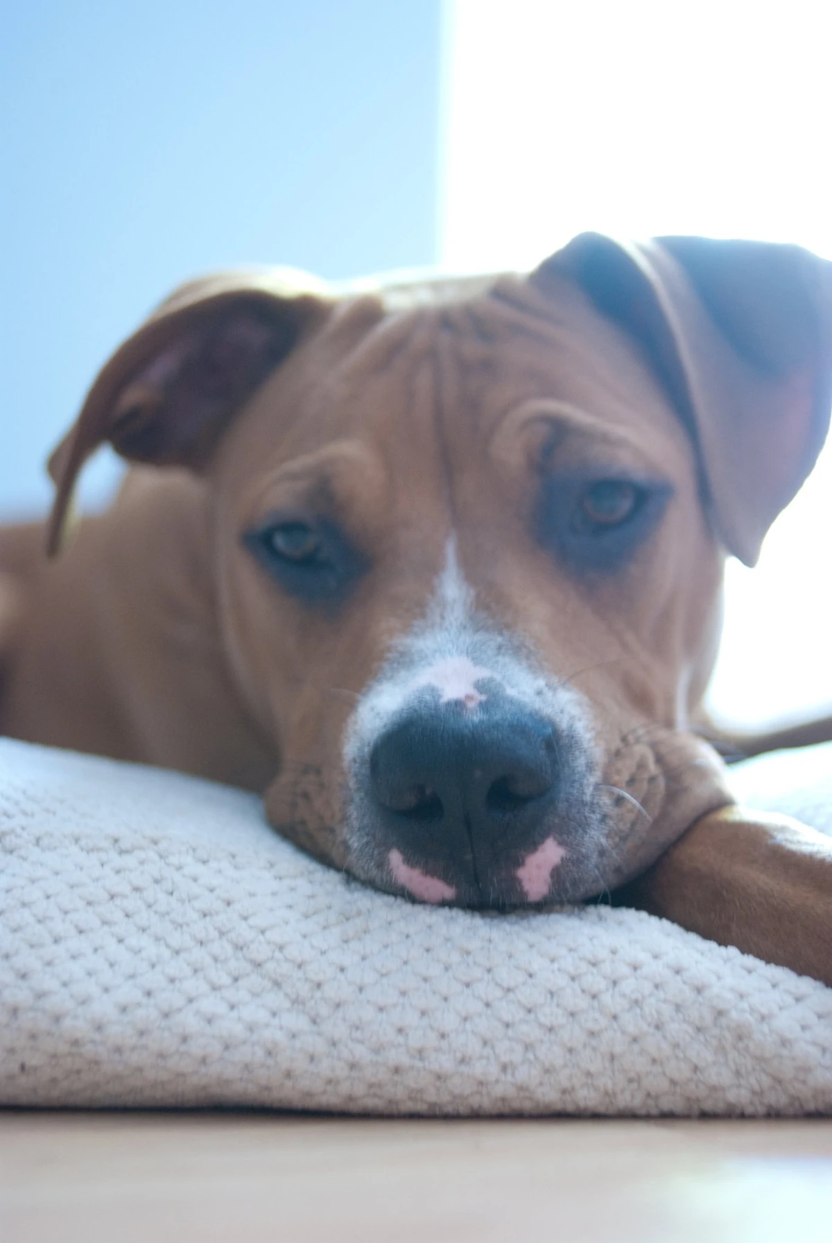 Bender | Funhaus Wiki | Fandom