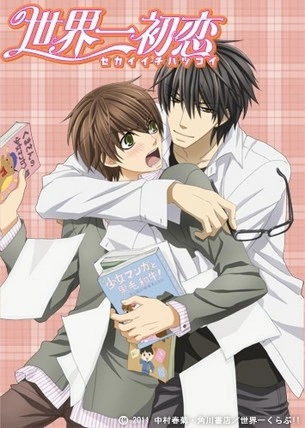 Sekai Ichi Hatsukoi | FUNimation Wiki | Fandom