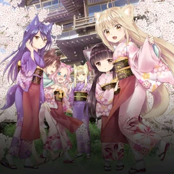 Konohana Kitan | FUNimation Wiki | Fandom