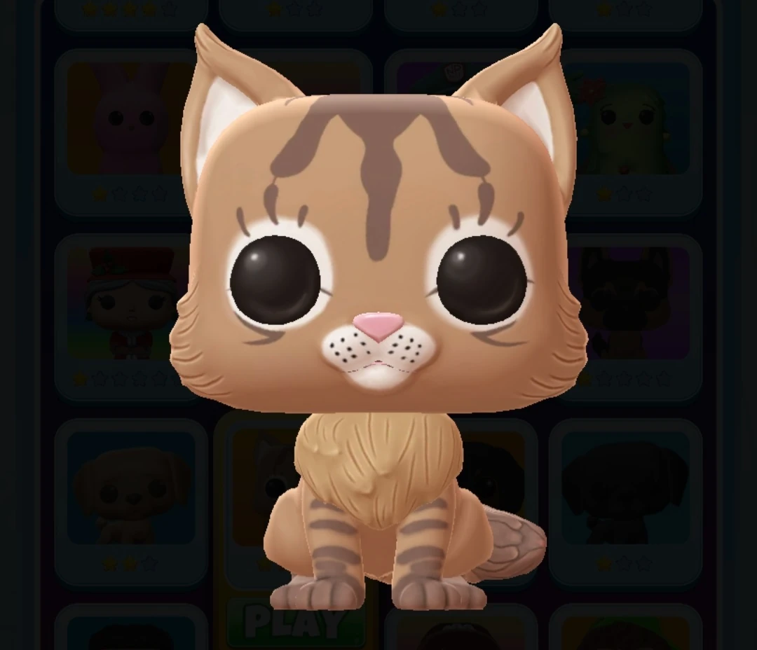Maine Coon | Funko Pop! Blitz Wiki | Fandom