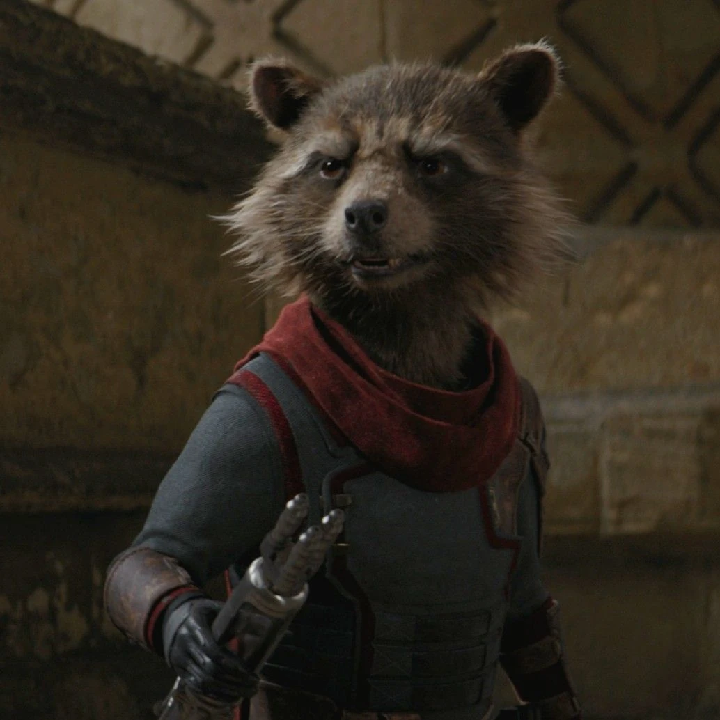 Rocket | Funko Subscription Box Wiki | Fandom