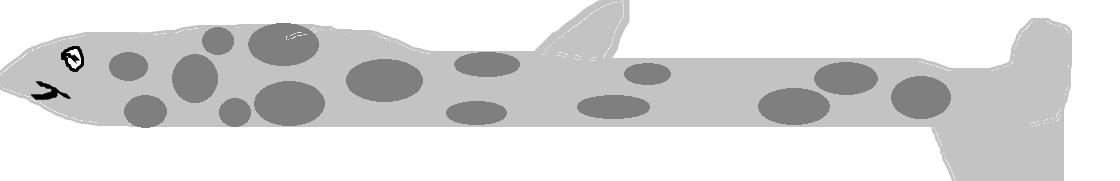 Danny grey dogfish | Funky valley treehouse Wikia | Fandom