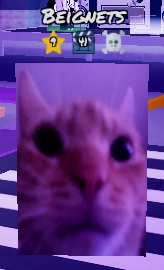 Goofy Ahh Cat | Funky Friday Wiki | Fandom