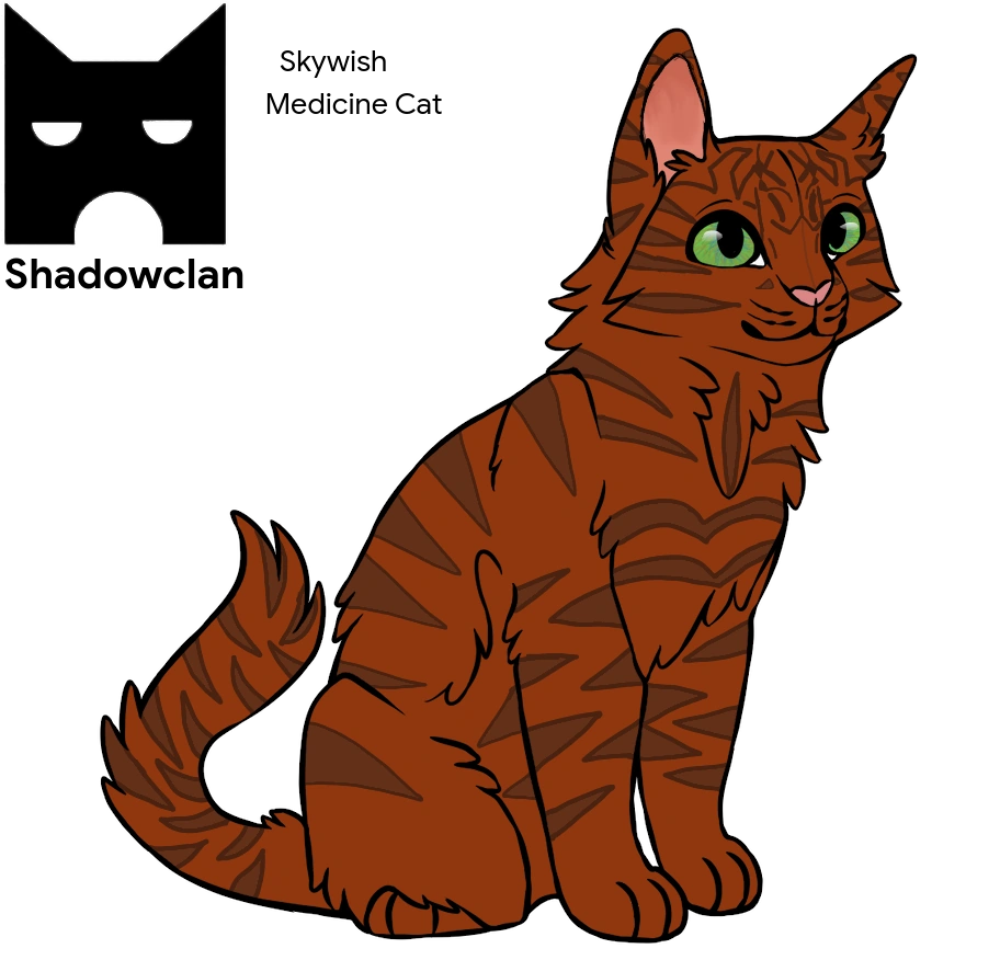 Skywish | Highrisers Wiki | Fandom