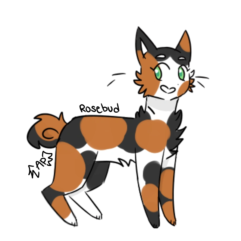 Rosepaw (WC) | Highrisers Wiki | Fandom