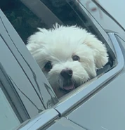 Alven/Gallery | ItsFunneh Wikia | Fandom