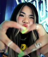 GoldenGlare/Gallery | ItsFunneh Wikia | Fandom