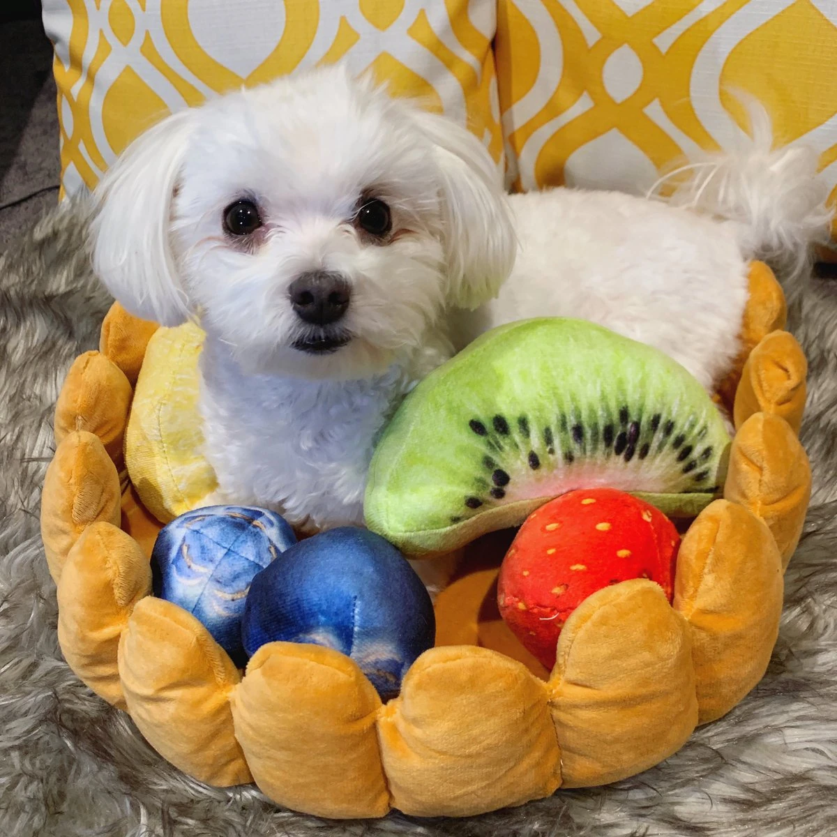 Alven | ItsFunneh Wikia | Fandom