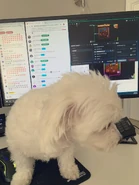 Alven/Gallery | ItsFunneh Wikia | Fandom