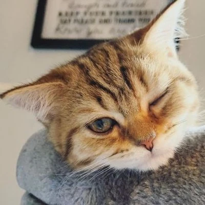 Kiaria | ItsFunneh Wikia | Fandom