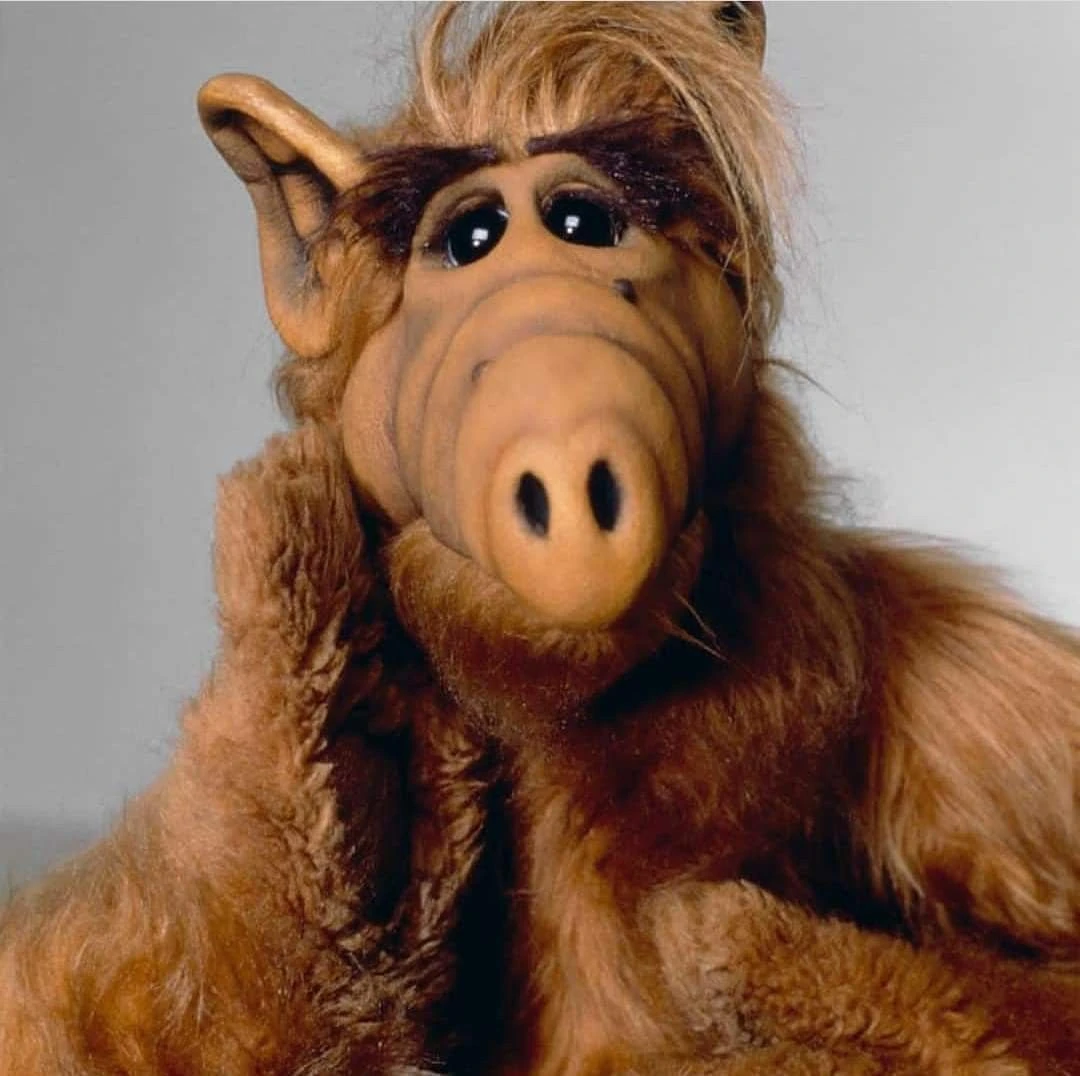 Alf | Funny Little Character Wiki | Fandom