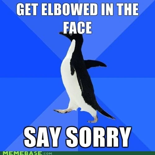 Socially Awkward Penguin | Funny pic Wiki | Fandom