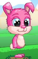 Shop | Fun Run 3 Wiki | Fandom