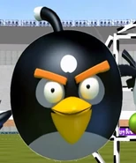 2D Birds | FunVideoTV Wiki | Fandom