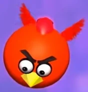 Red Bird | FunVideoTV Wiki | Fandom