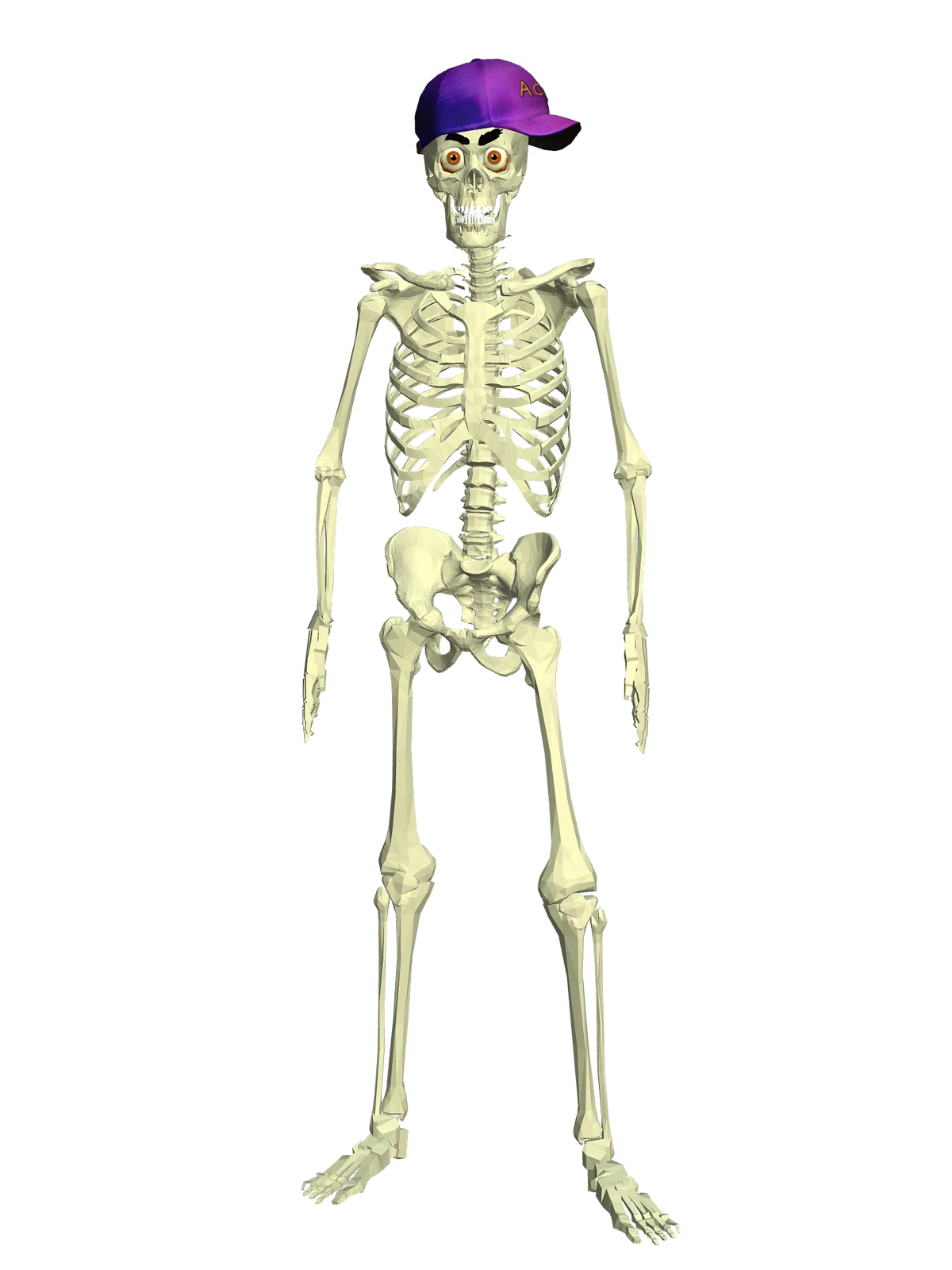 Achmed The Dead Terrorist | FunVideoTV Wiki | Fandom