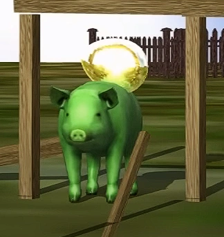 Domestic Pig | FunVideoTV Wiki | Fandom