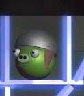 Helmet Pig | FunVideoTV Wiki | Fandom